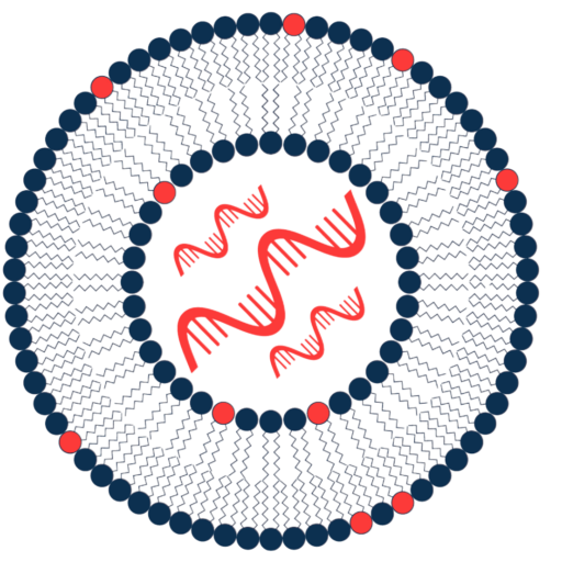 Evaluating LNP Biology to Understand the Fundamental Properties that Impact Delivery Efficiency ...
