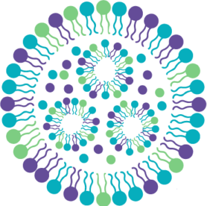 5th LNP Formulation & Process Development Summit