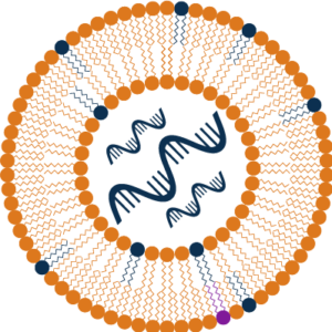 5th LNP Formulation & Process Development Summit
